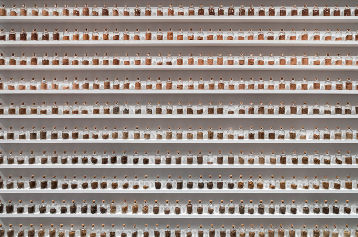 Ecotopian Library | Museum London | Mary Mattingly Art ...