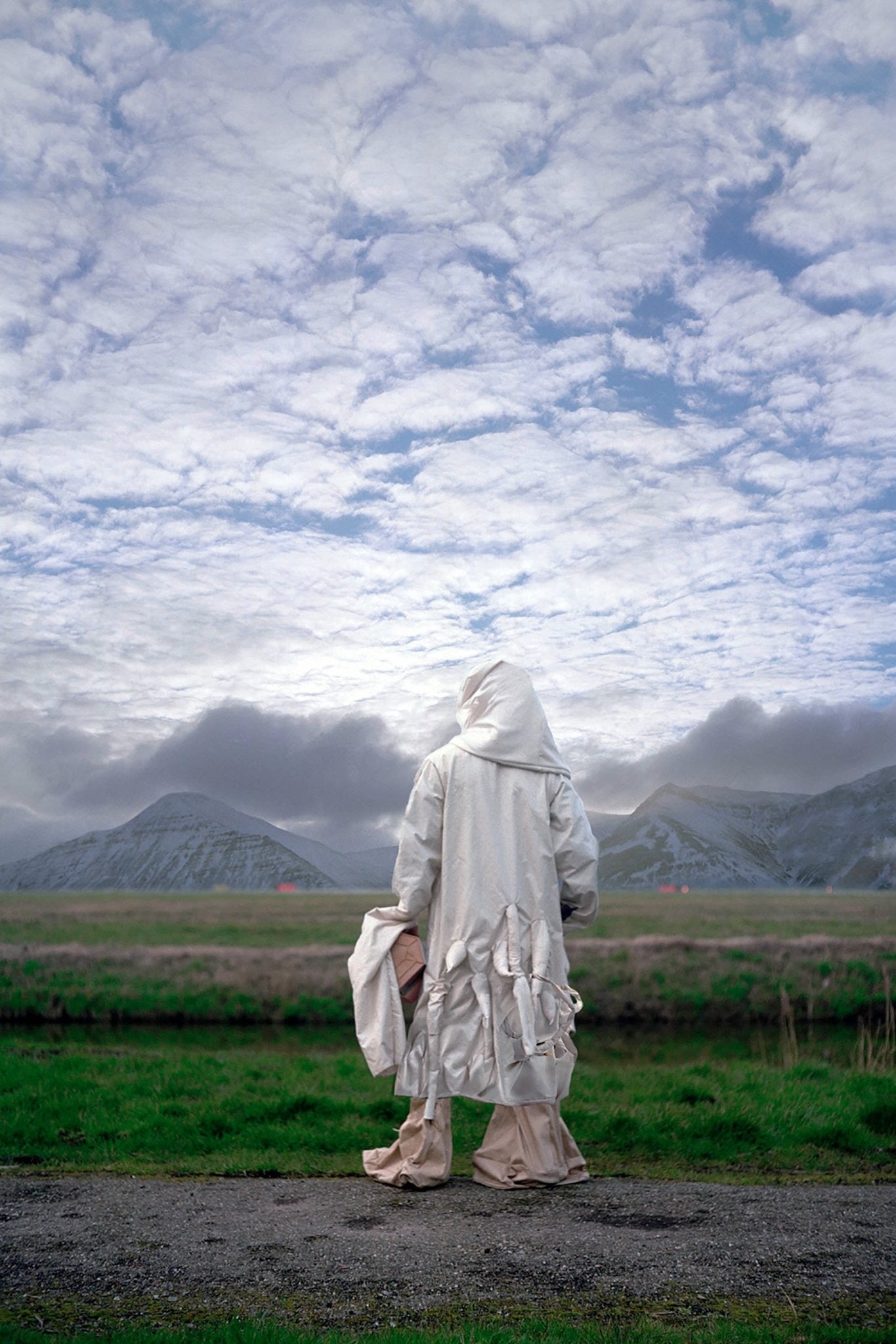 Second Nature 2005 | 2009 | Abstract Photography - marymattinglystudio