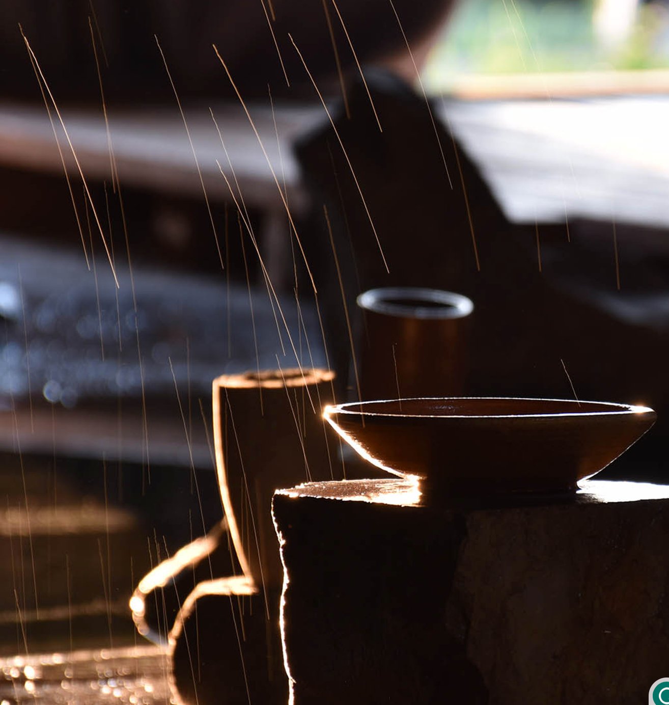 Limited Edition Prints | Soft Sculpture | Swale NYC | Mary Mattingly ...