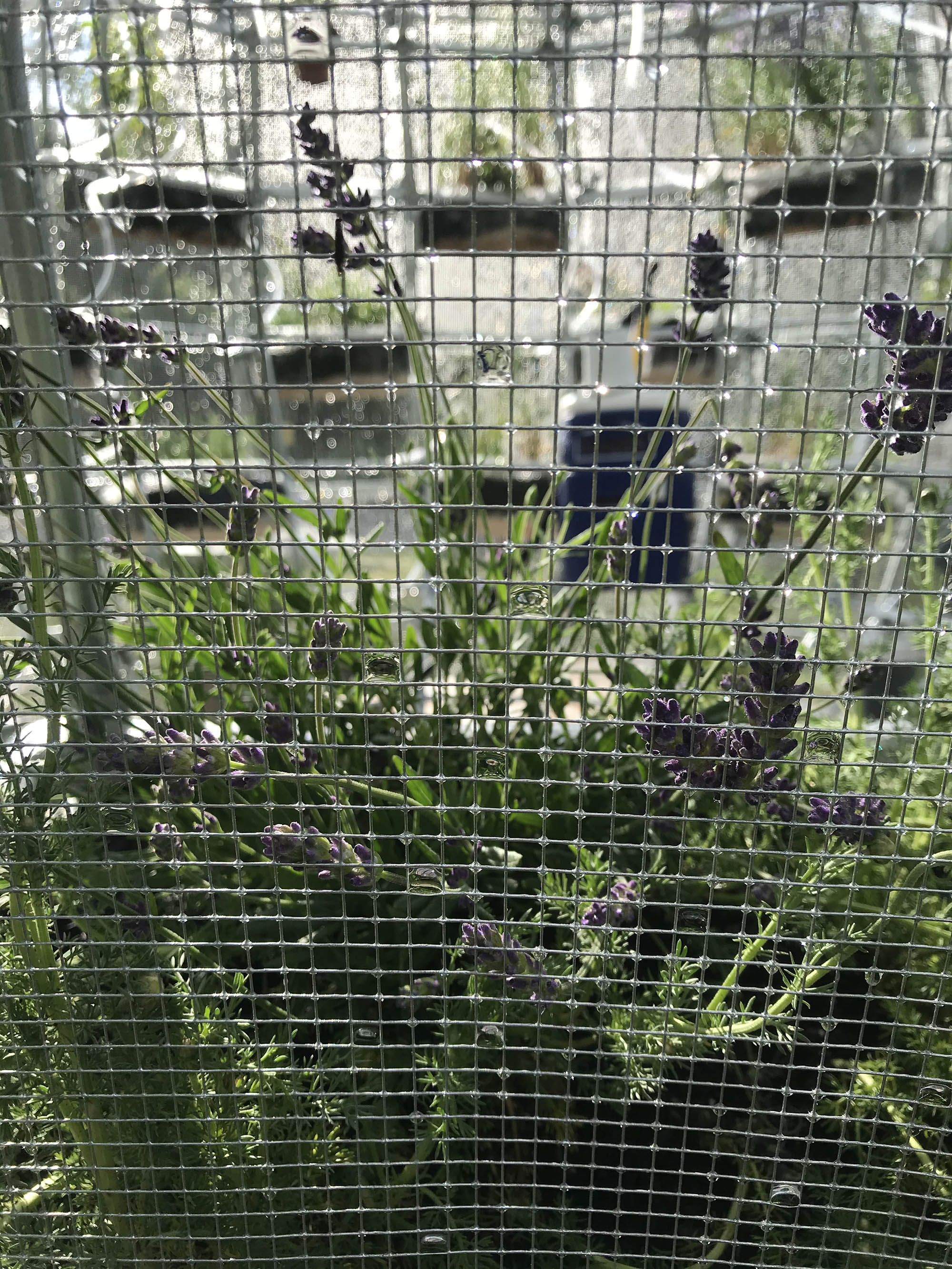 Public Water and Watershed Core, 2021 | Mary Mattingly ...