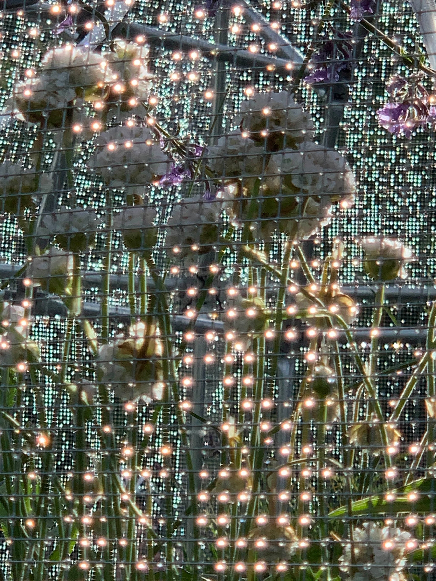 Public Water and Watershed Core, 2021 | Mary Mattingly ...