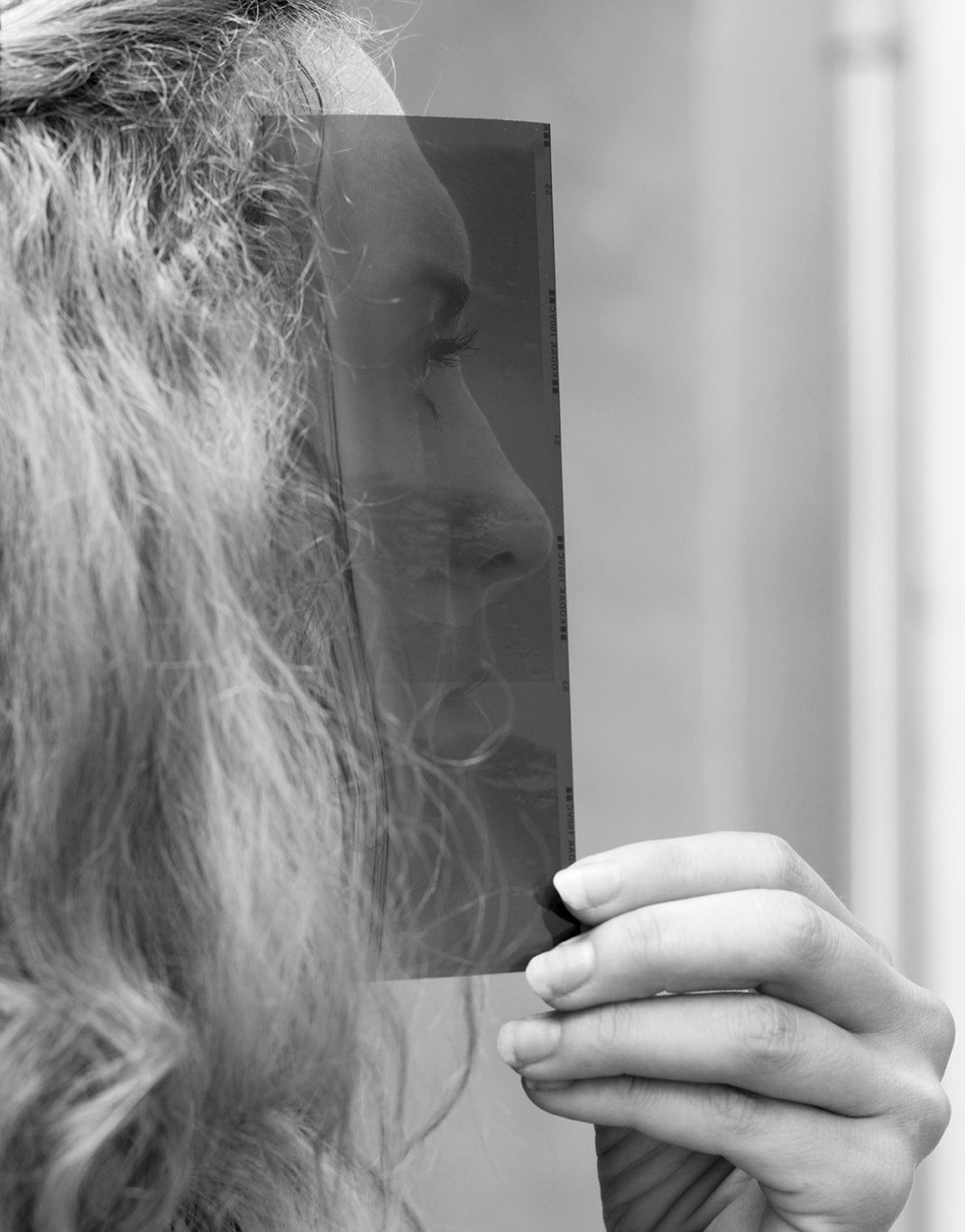 Limited Edition Prints | Soft Sculpture | Swale NYC | Mary Mattingly ...