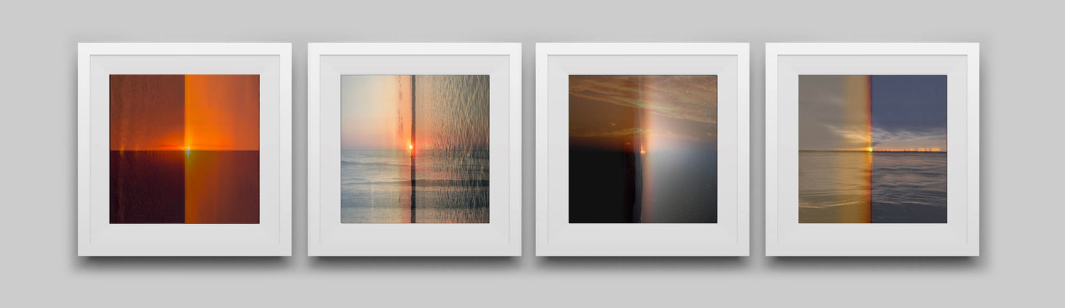 Limited Edition Prints | Soft Sculpture | Swale NYC | Mary Mattingly ...